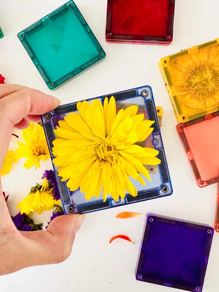 Magnetic Tiles Flower Play Activity