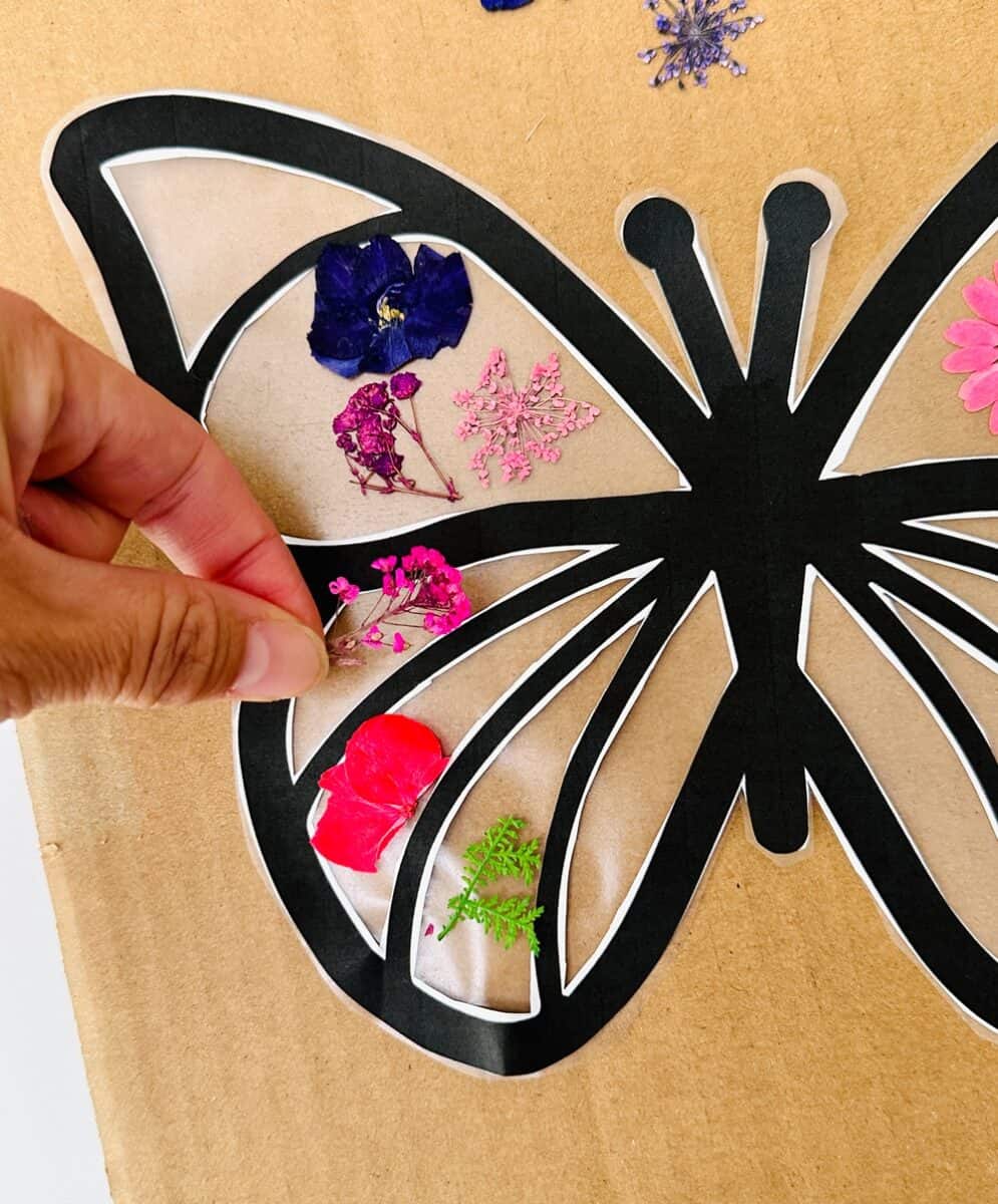 Make a Beautiful Pressed Flower Butterfly Craft