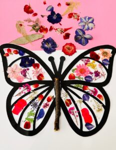 Make a Beautiful Pressed Flower Butterfly Craft