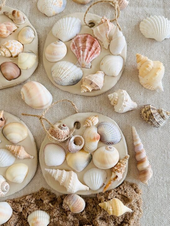 Fun and Simple Clay Seashell Craft for Kids: A Perfect Summer Activity!