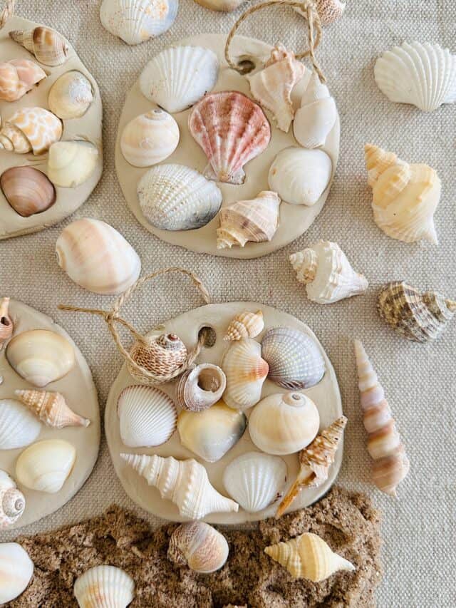 Fun and Simple Clay Seashell Craft for Kids: A Perfect Summer Activity!