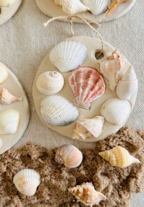Fun and Simple Clay Seashell Craft for Kids: A Perfect Summer Activity!