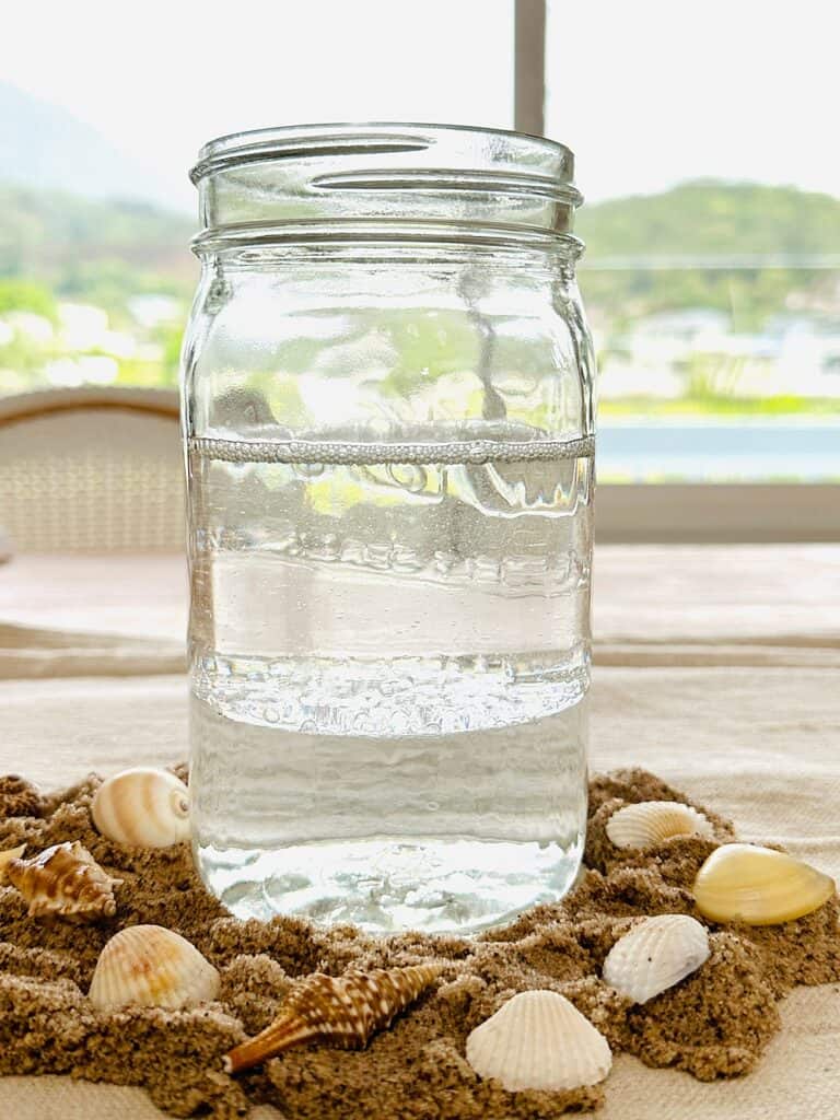 Magical Dancing Seashells Experiment for Kids