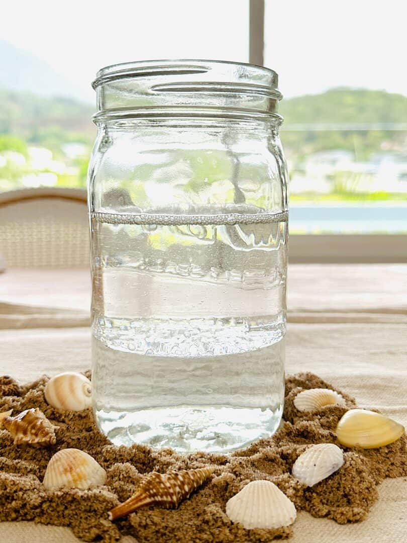 Magical Dancing Seashells Experiment for Kids