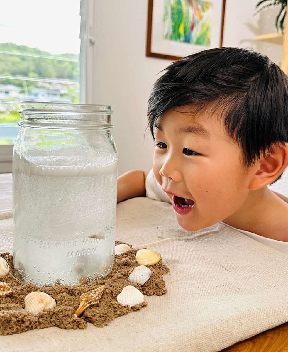Magical Dancing Seashells Experiment for Kids