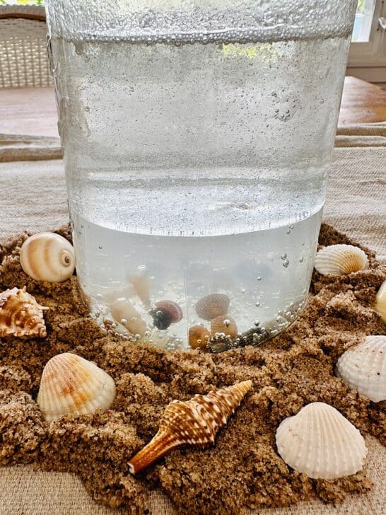 Magical Dancing Seashells Experiment for Kids