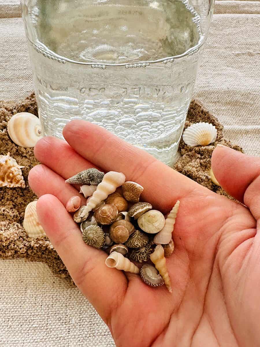 Magical Dancing Seashells Experiment for Kids