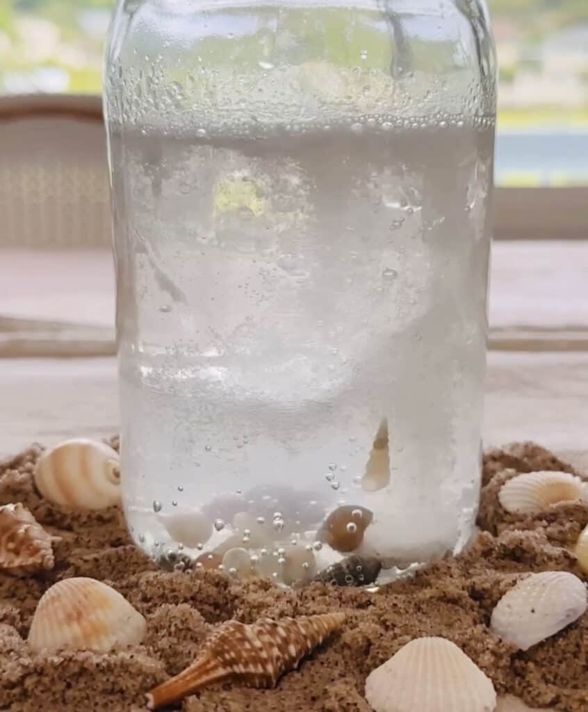 Magical Dancing Seashells Experiment for Kids