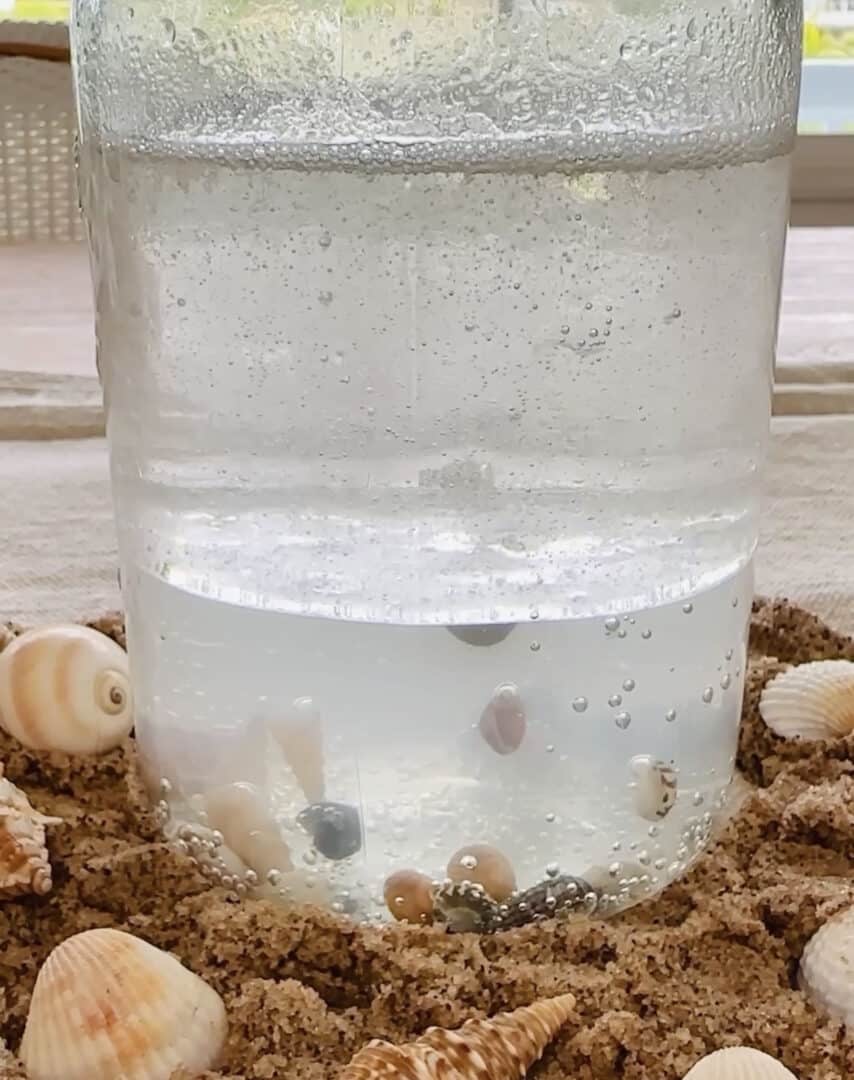 Magical Dancing Seashells Experiment for Kids