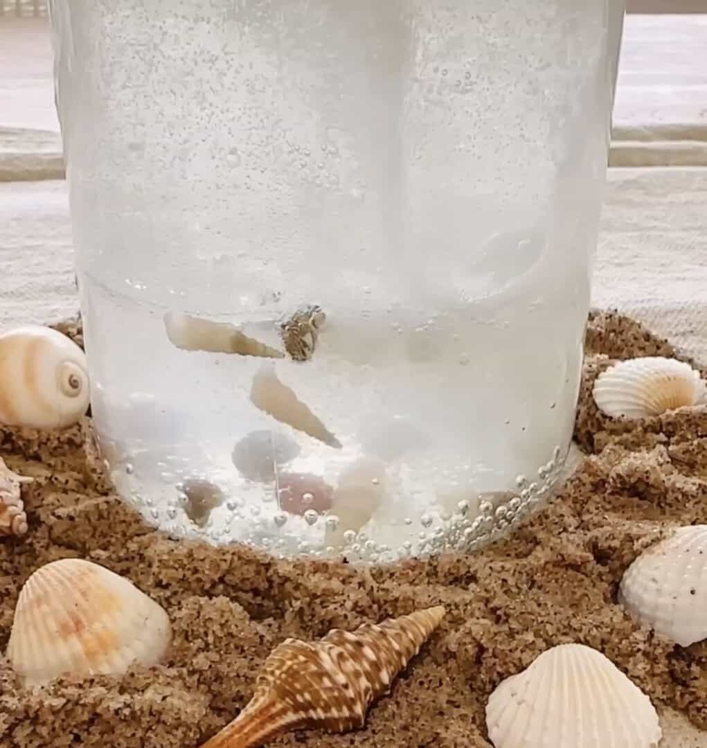 Magical Dancing Seashells Experiment for Kids