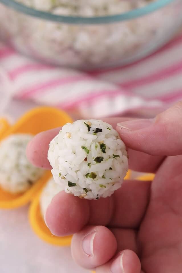 This Rice Ball Shaker Is A Fun And Easy Way To Make Cute Rice Balls