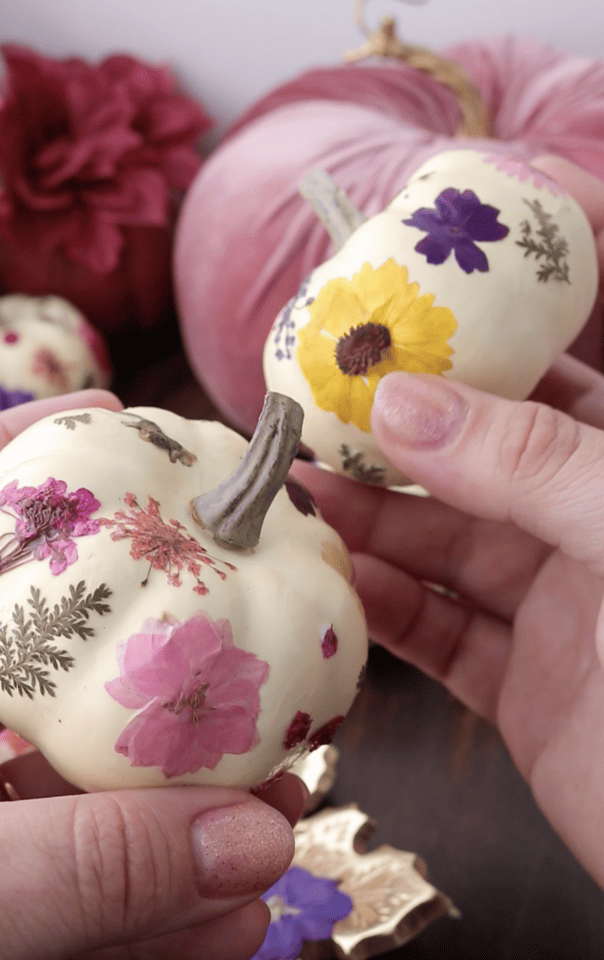 Pressed Flower Pumpkins Make Pretty No-Carve Pumpkin Decor