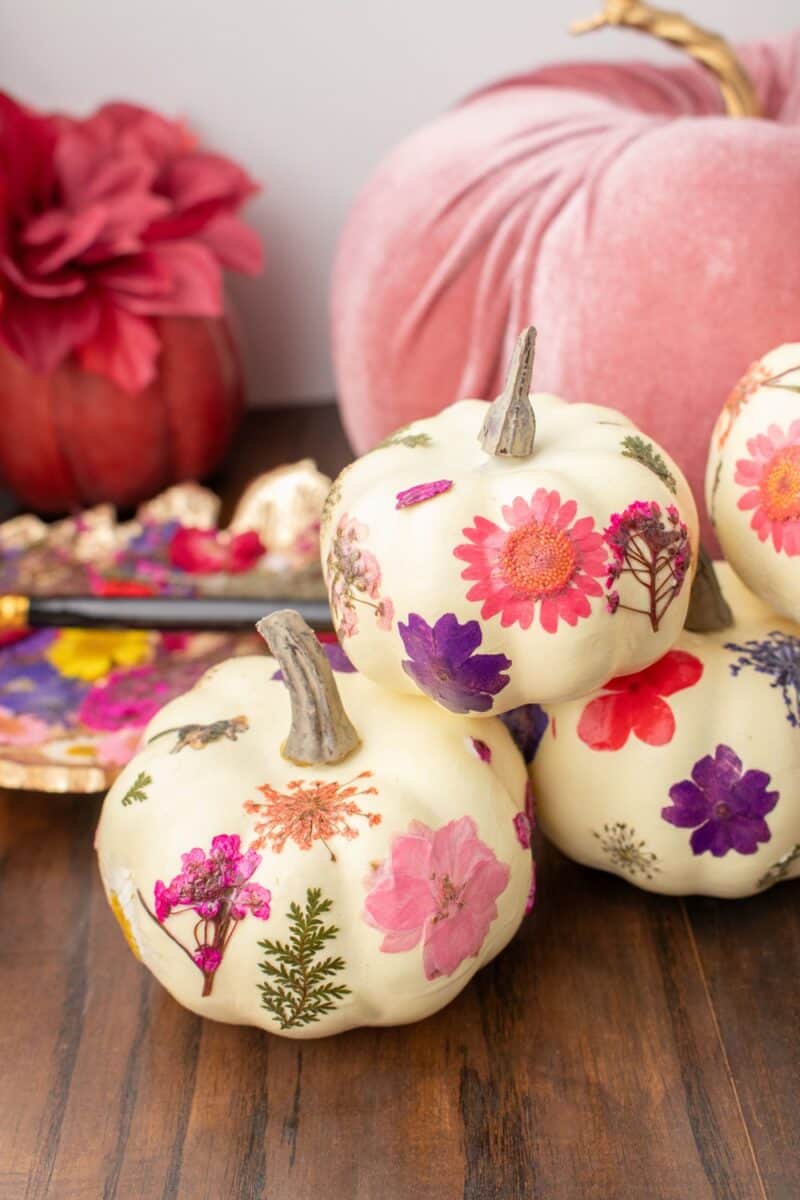 Pressed Flower Pumpkins Make Pretty No-Carve Pumpkin Decor