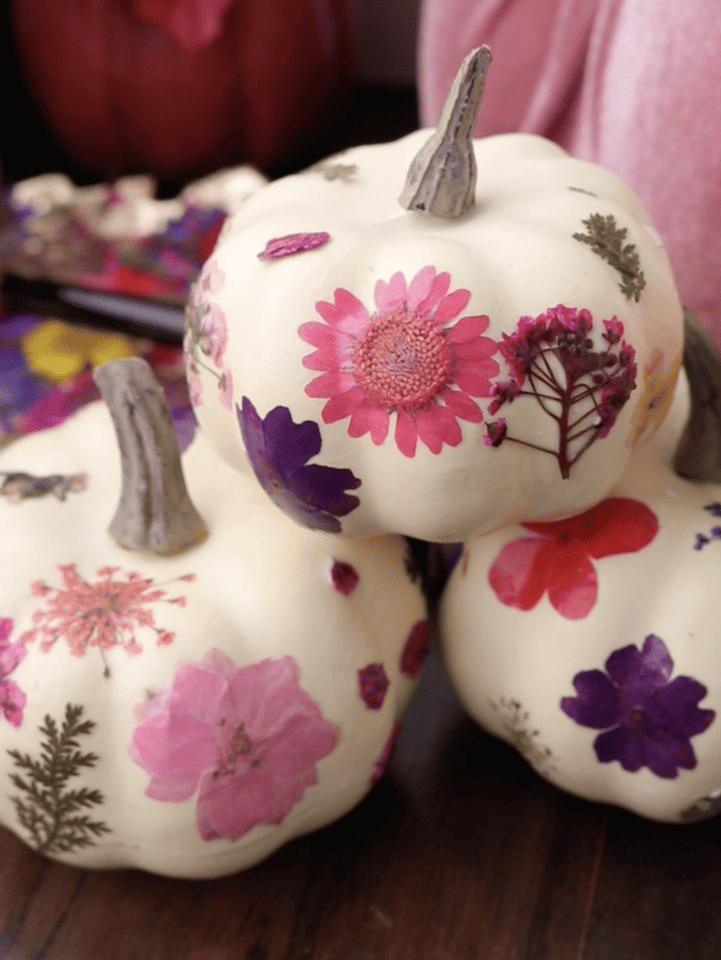 Pressed Flower Pumpkins Make Pretty No-Carve Pumpkin Decor