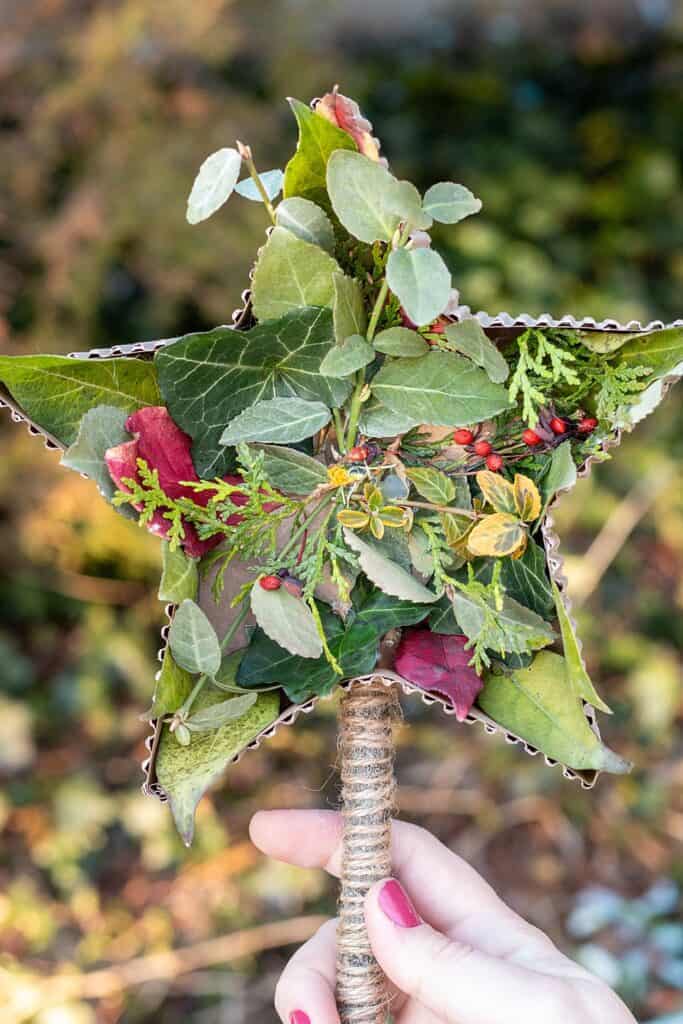 Beautiful Nature Star Wand Craft