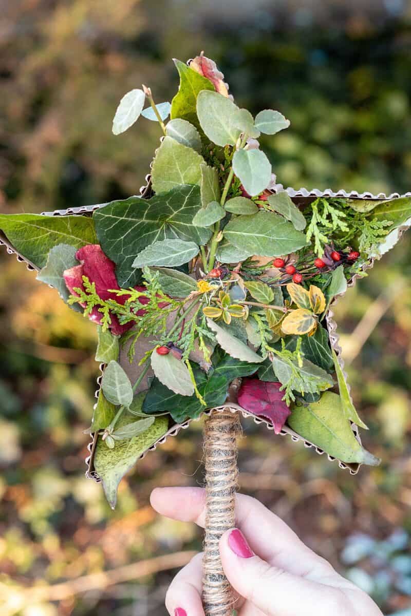 Beautiful Nature Star Wand Craft