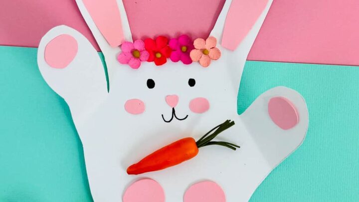 Bunny Hand Craft