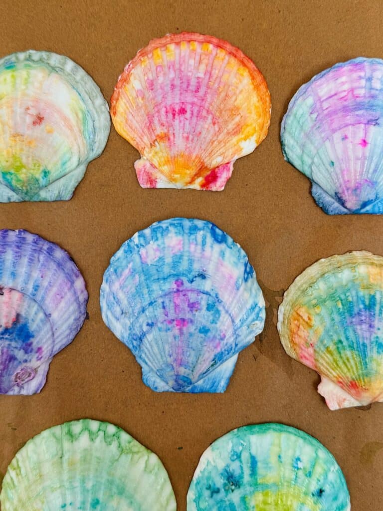 Tie Dye Painted Seashell Craft