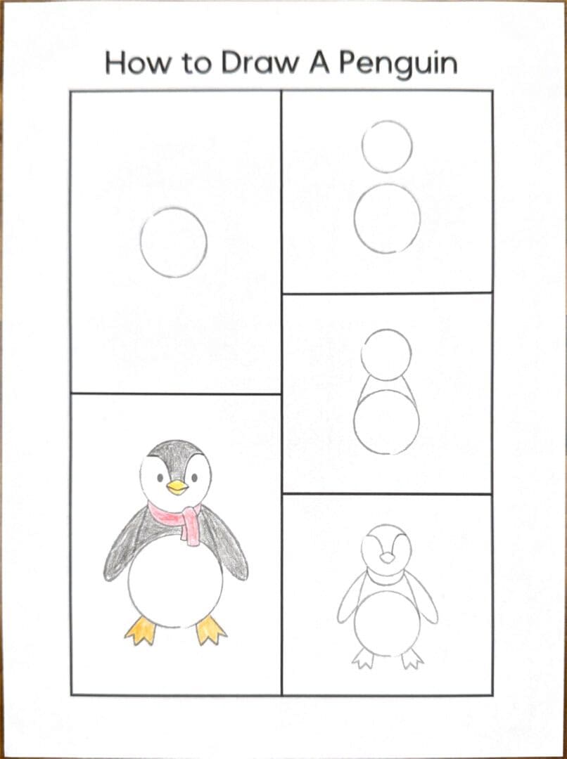 How to Draw a Penguin - Free Template