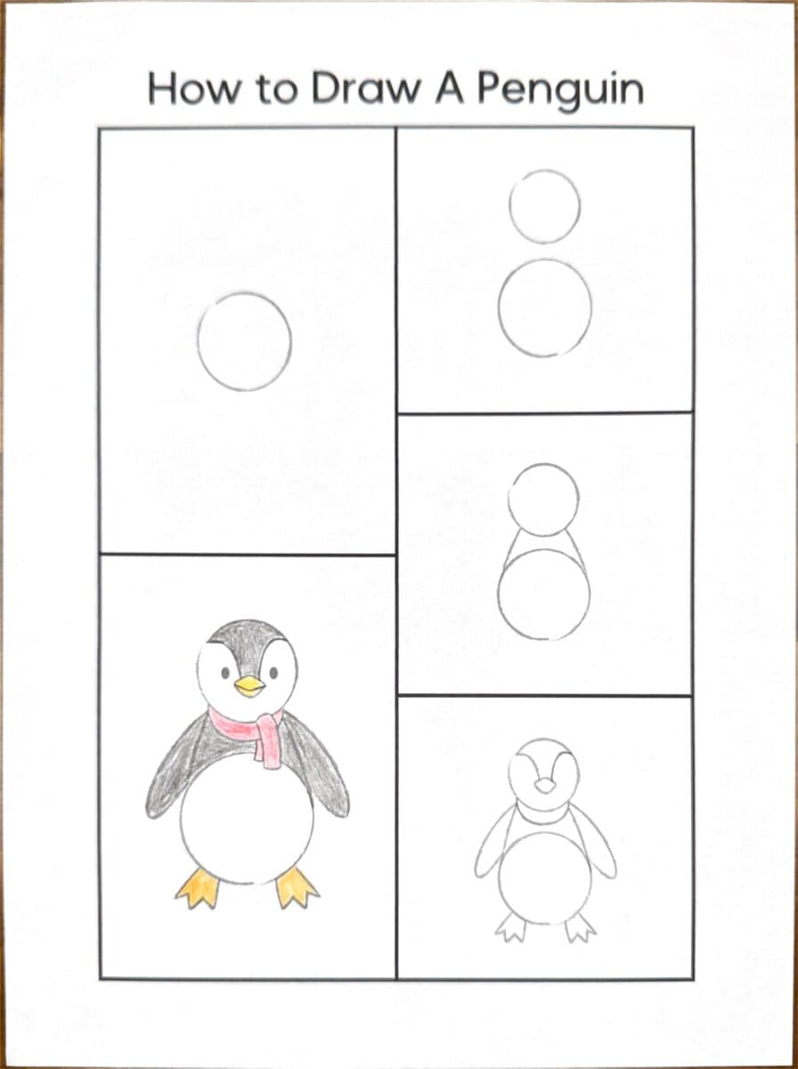 How to Draw a Penguin - Free Template