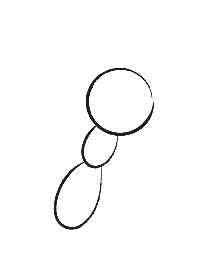 How to Draw a Butterfly - With Printable Guide