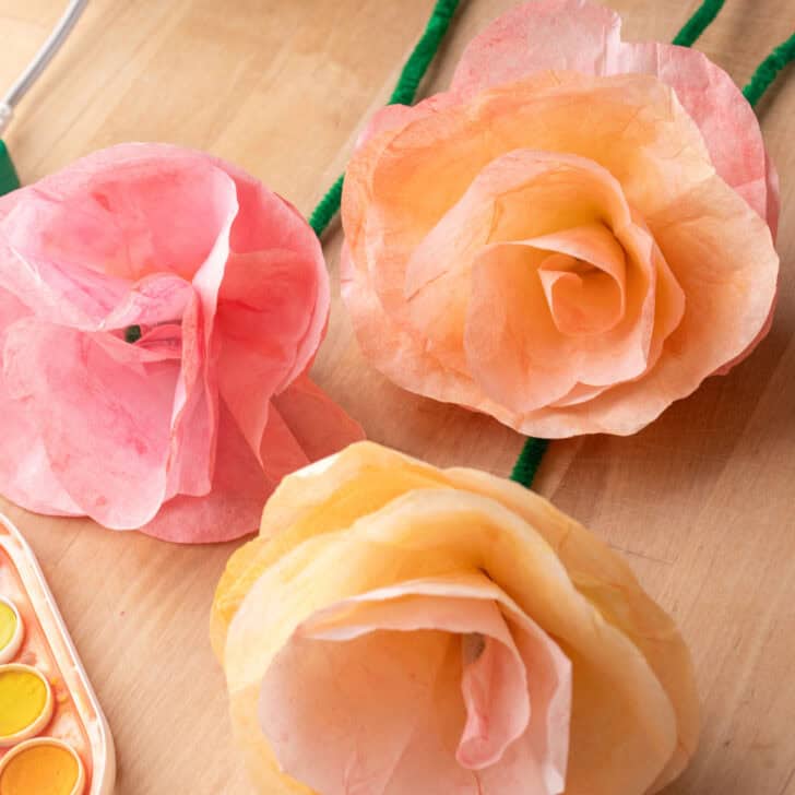 RAINBOW BUBBLE SNAKES - hello, Wonderful