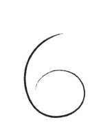 How to Draw a Seal - With Printable Guide